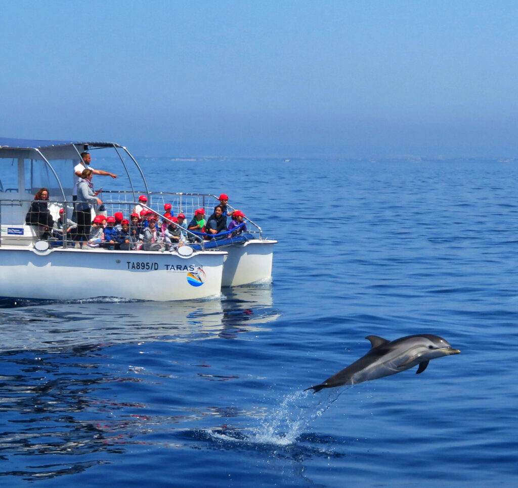 La Jonian Dolphin Conservation di Taranto “esporta” la sua esperienza ...
