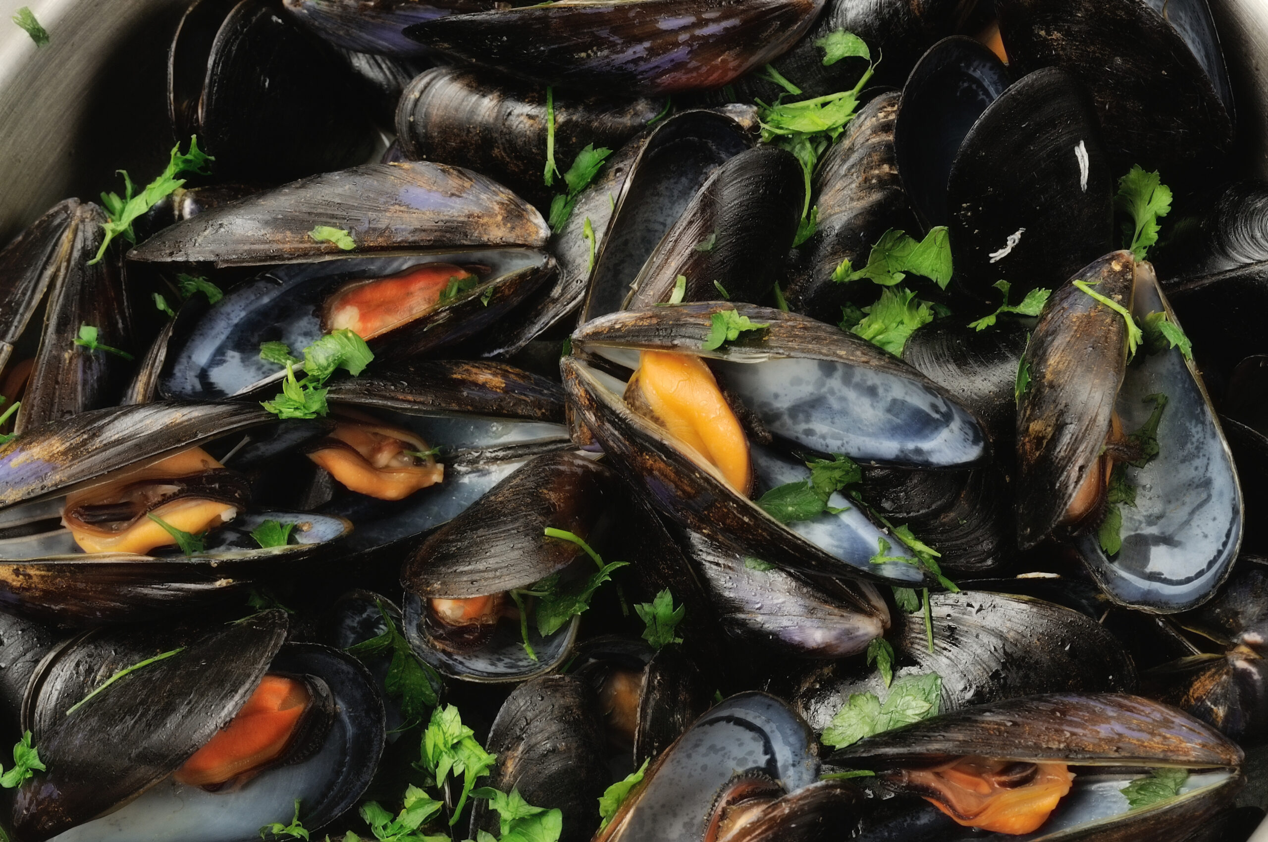 Cozze all'ampa - Puglia & Mare - Rivista di ambiente, nautica e turismo